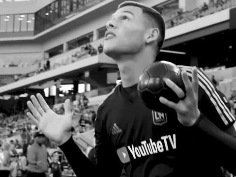GIF by LAFC - Find & Share on GIPHY