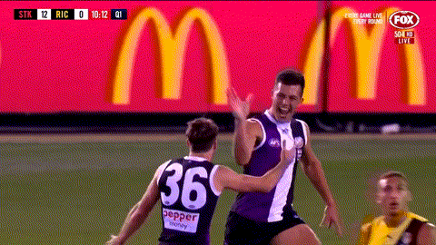 Aussie Rules Celebrations GIF by AFL - Find & Share on GIPHY