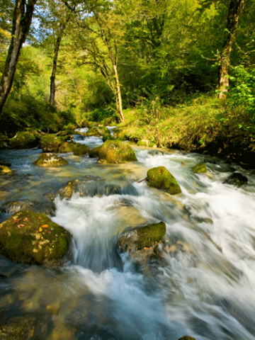 River GIF - Find & Share on GIPHY