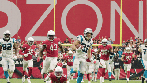 Nfl GIF by Carolina Panthers - Find & Share on GIPHY