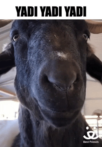 Save Them All Best Friends GIF by Best Friends Animal Society - Find ...