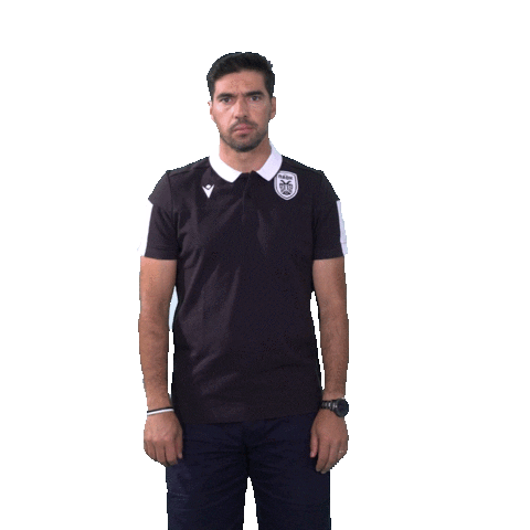 Football Paokfamily Sticker by PAOK FC for iOS & Android | GIPHY