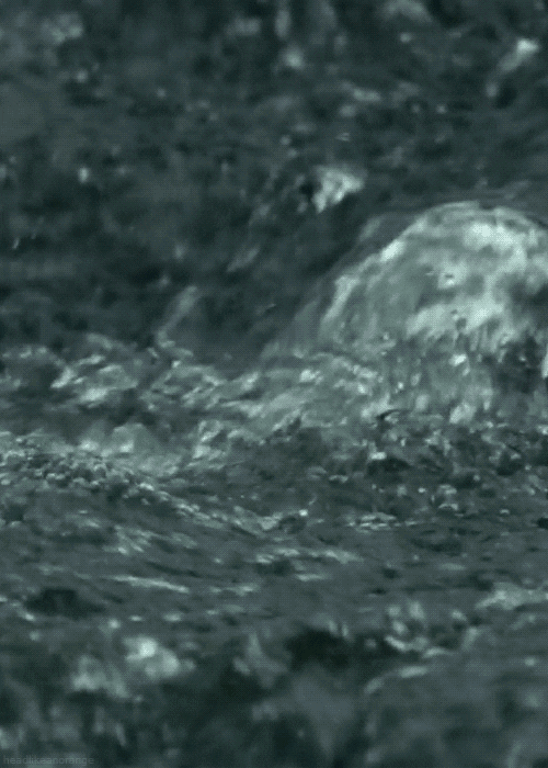 Water Sea GIF - Find & Share on GIPHY