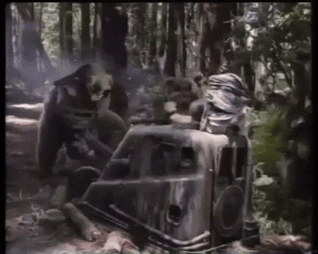 Battle For Endor Wicket GIF by mdleone - Find & Share on GIPHY