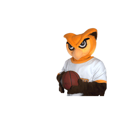 Ncaa Mascot Sticker by Rowan University for iOS & Android | GIPHY