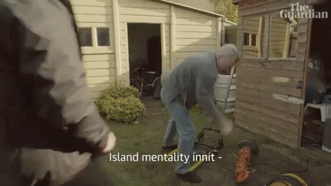 Northern Ireland Uk GIF by guardian - Find & Share on GIPHY