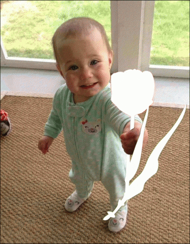 Catch the Baby Rose