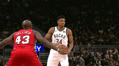 Basketball Nba GIF by Milwaukee Bucks - Find & Share on GIPHY