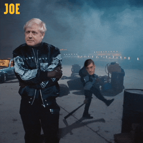 JOE GIF - Find & Share on GIPHY