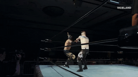 Kick Ko GIF by THE WRESTLERS - Find & Share on GIPHY