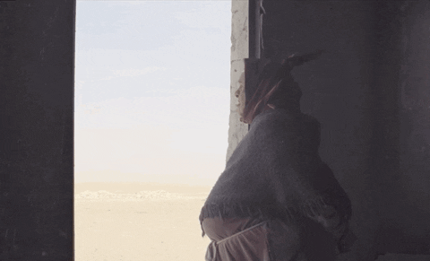 TIFF GIF - Find & Share on GIPHY