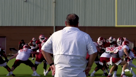 College Football GIF by Arkansas Razorbacks - Find & Share on GIPHY