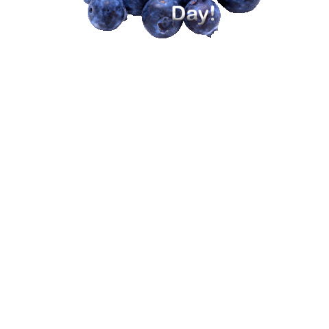Fruit Blueberry Sticker by Dr. Donna Thomas Rodgers for iOS & Android ...