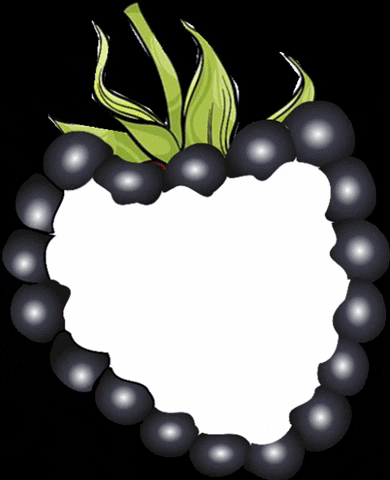 Berry Buzz Namibia GIF - Find & Share on GIPHY