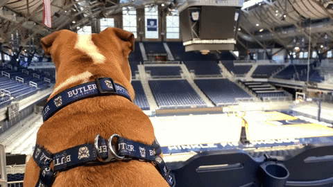 Happy Butler Bulldogs GIF by Butler University - Find & Share on GIPHY