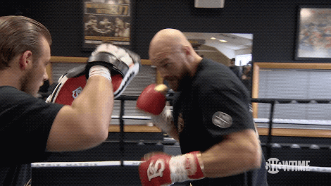 Wilder Vs Fury GIF by SHOWTIME Sports - Find & Share on GIPHY