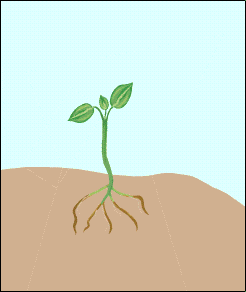 The Roots GIFs - Find & Share on GIPHY