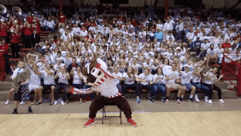 The Wave GIF by uwmadison - Find & Share on GIPHY