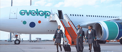 Viajar Cabin Crew GIF by Iberojet - Find & Share on GIPHY