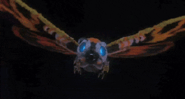 King Ghidorah GIFs - Get the best GIF on GIPHY