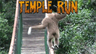 Temple Run GIFs - Find & Share on GIPHY