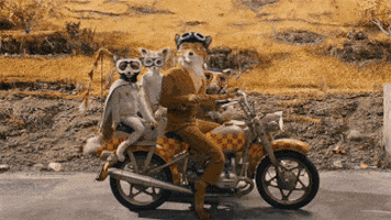 Staggering GIFs - Find & Share on GIPHY