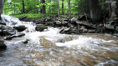 Brook GIFs - Get the best GIF on GIPHY