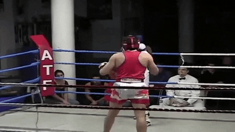 Martial Arts Fight GIF by Casol - Find & Share on GIPHY
