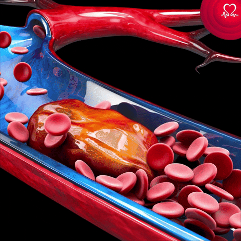 GIF by British Heart Foundation - Find & Share on GIPHY