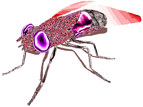 Art Fly Sticker by badblueprints for iOS & Android | GIPHY