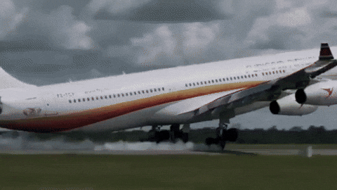 Slm GIF by Surinam Airways - Find & Share on GIPHY