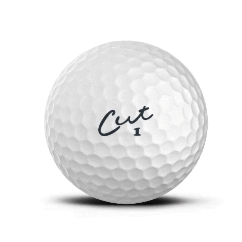Golf Ball GIFs - Find & Share on GIPHY