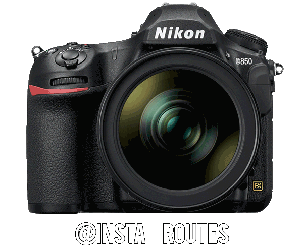 Nikoninstabadge D850 Sticker by NikonIndia for iOS & Android | GIPHY