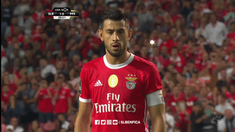 Sl Benfica Slbgifs GIF by Sport Lisboa e Benfica - Find & Share on GIPHY