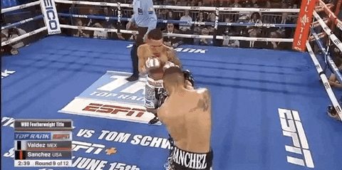 Top Rank Boxing GIF - Find & Share on GIPHY