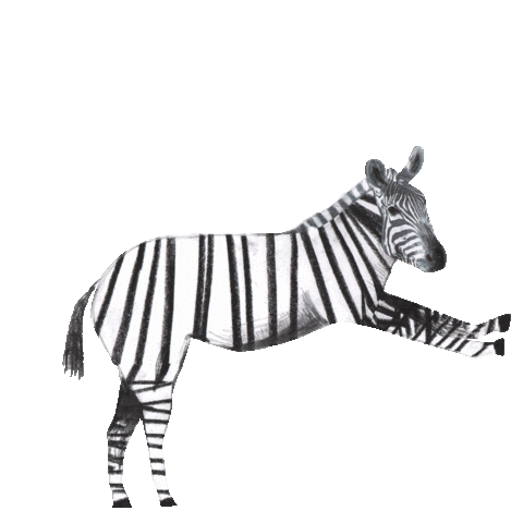 Dance Dancing Sticker by ALESSIA E BRUNO for iOS & Android | GIPHY