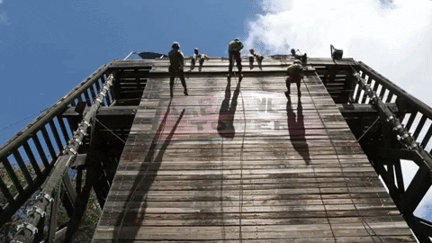 Army Guard GIF by NationalGuard - Find & Share on GIPHY