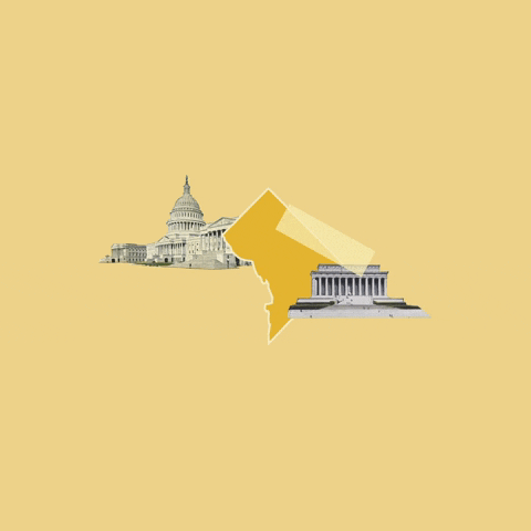Washington Dc GIF by Crooked Media - Find & Share on GIPHY