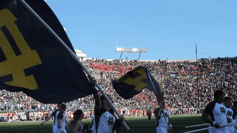 Notre Dame Leprechaun GIF by Notre Dame Fighting Irish - Find & Share ...