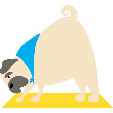 Chuze Animals Sticker by Chuze Fitness for iOS & Android | GIPHY