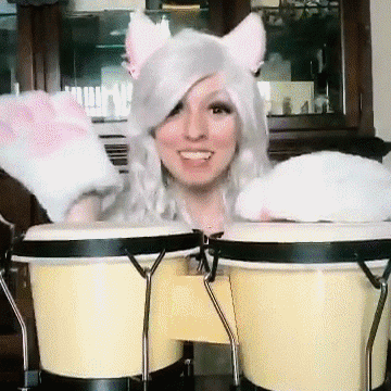 Cat Cosplaying GIF - Find & Share on GIPHY