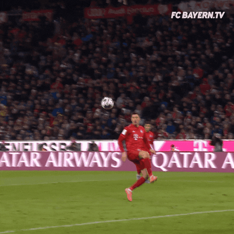 Champions League Football GIF by FC Bayern Munich - Find & Share on GIPHY