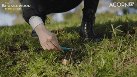 New Zealand Police GIF by Acorn TV - Find & Share on GIPHY