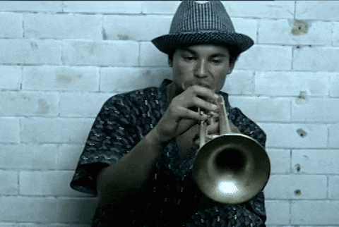 Musician Instrument GIF by Amy Winehouse - Find & Share on GIPHY