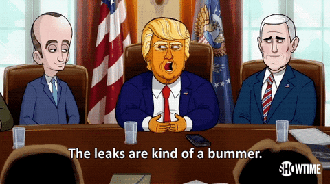 Season 1 The Leaks Are Kind Of A Bummer GIF by Our Cartoon President ...