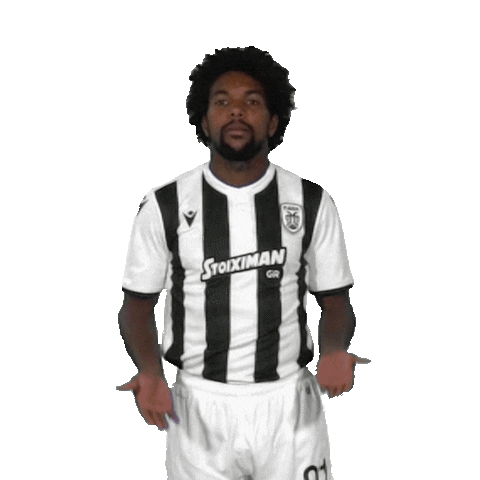 Football Paokfamily Sticker by PAOK FC for iOS & Android | GIPHY