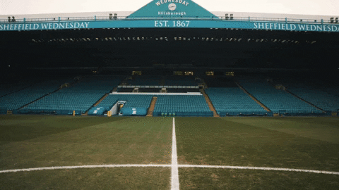 Stadium S6 GIF by Sheffield Wednesday Football Club - Find & Share on GIPHY