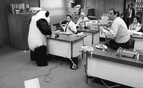 Office Panda GIF - Find & Share on GIPHY
