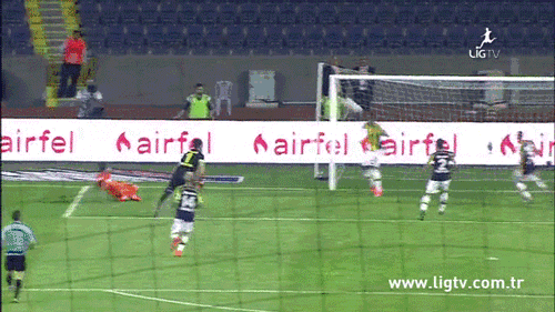 Soccer Win GIF - Find & Share on GIPHY