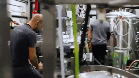Beer Production GIF - Find & Share on GIPHY